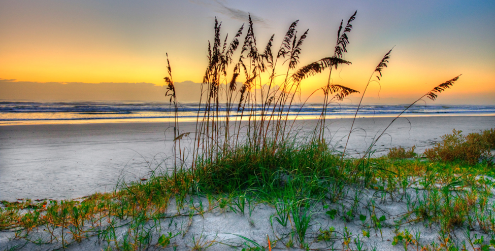 Upcoming Events – Streamline Insurance Consultants